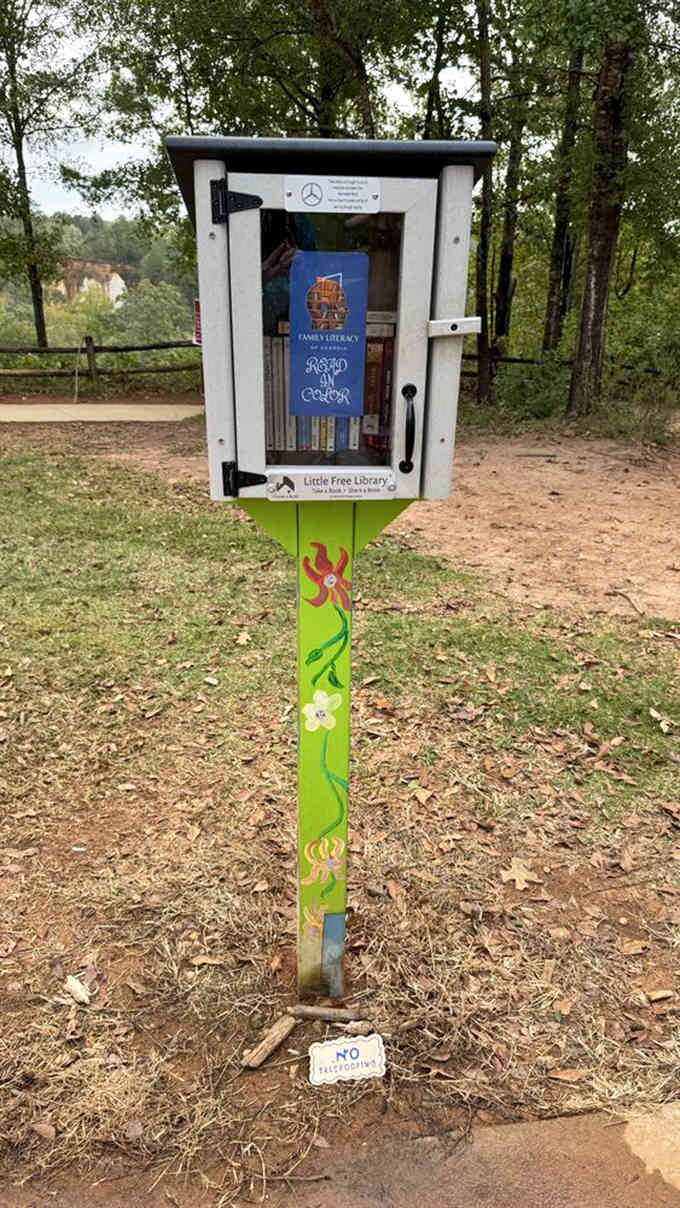 Even in the wilderness, literature finds a home in this charming little library, blending culture with natural beauty.