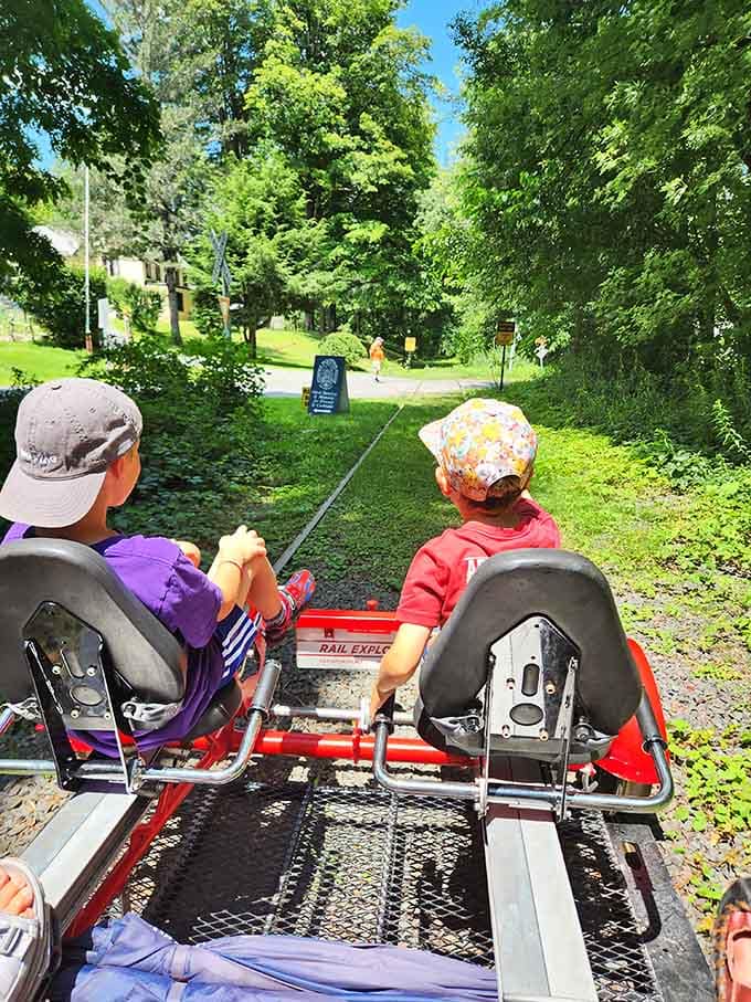 Kids can ride along and soak up scenery while adults do the pedaling, which is basically the perfect family arrangement.