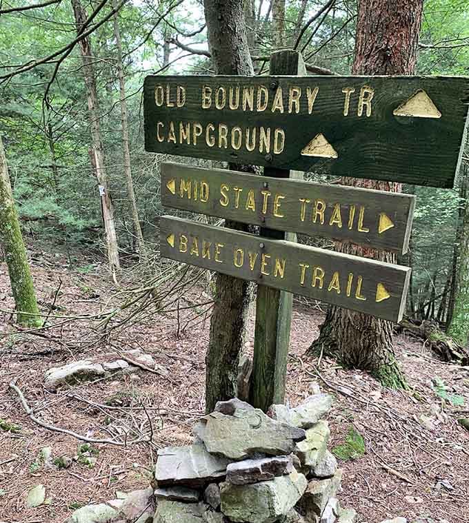 Trail markers point adventurers toward the Mid State Trail and campground, promising journeys through forests that feel wonderfully untamed.