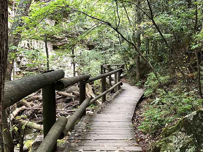 This peaceful boardwalk section proves that sometimes the journey really is better than the destination itself.