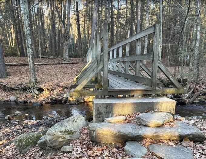 This sturdy bridge over the creek proves that sometimes the journey really is better than the destination.