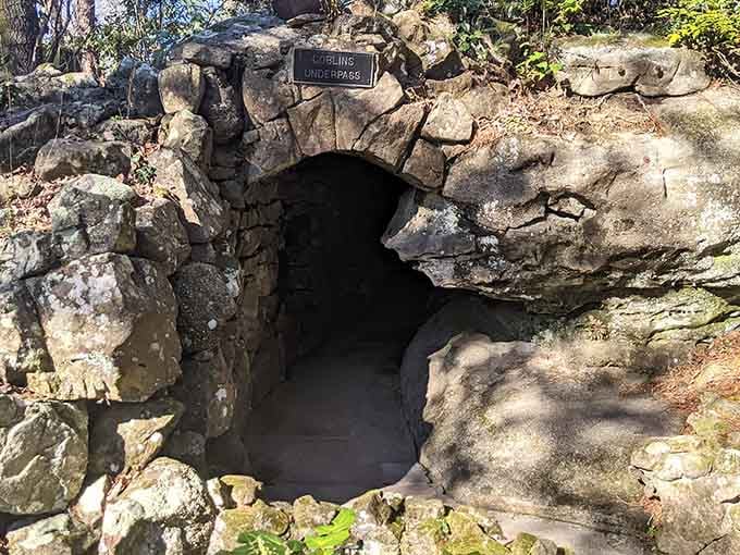 Goblins Underpass invites you into the mountain's belly, where shadows dance and adventure feels delightfully real.