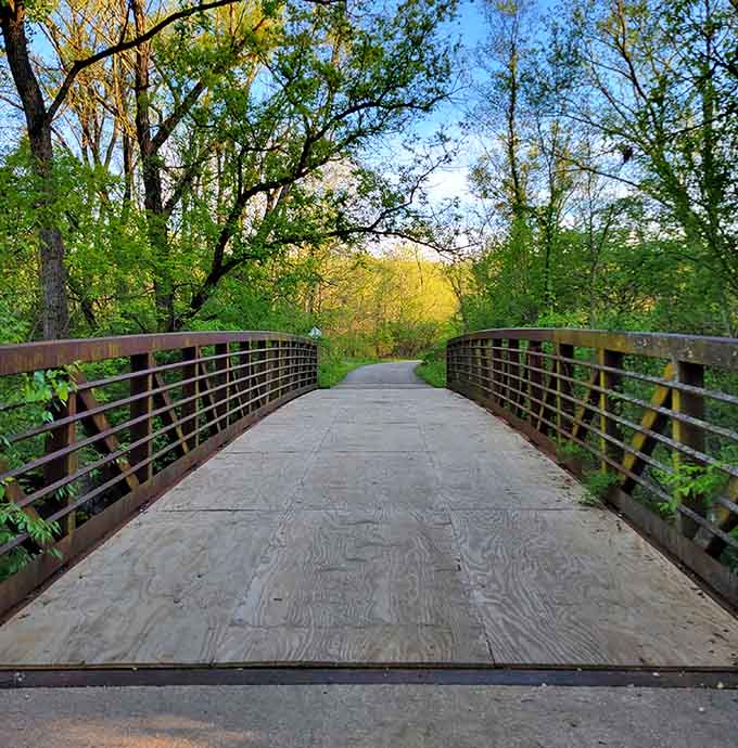 This bridge leads somewhere magical, framed by spring's golden light filtering through trees that remember the Great Depression.
