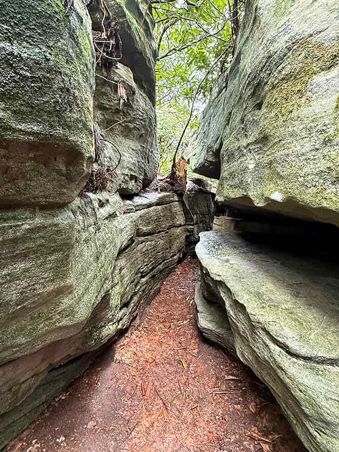 Narrow passages like this make you feel like Indiana Jones, except the only thing chasing you is your own excitement.