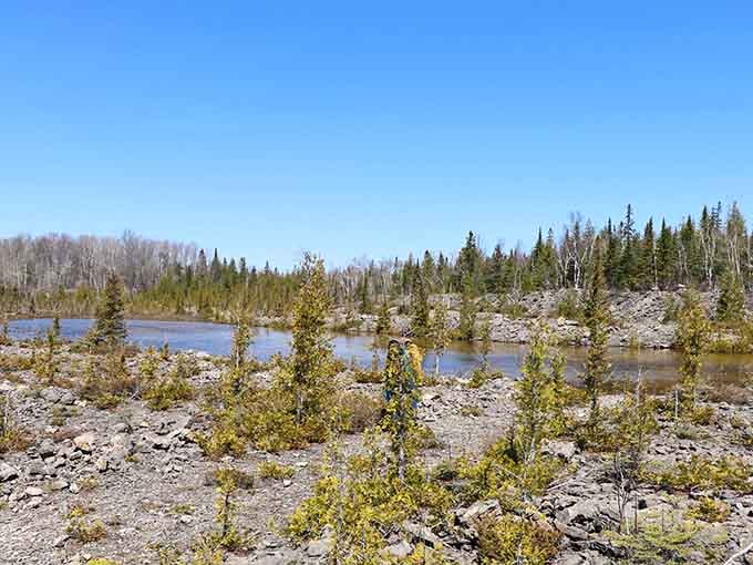 Nature's slowly taking back this rocky landscape, turning industrial history into a photographer's dream with every passing season.
