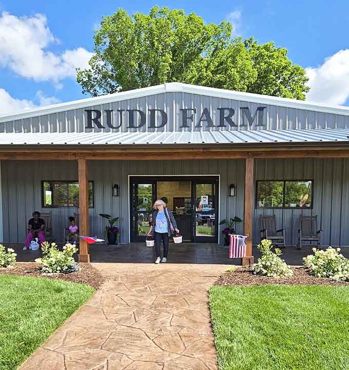 The entrance welcomes you like an old friend, promising fresh produce and none of that fancy-farm nonsense.