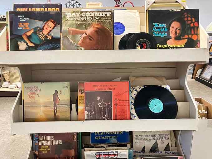 Vinyl records lined up like musical time capsules, each one holding memories from when albums were king.