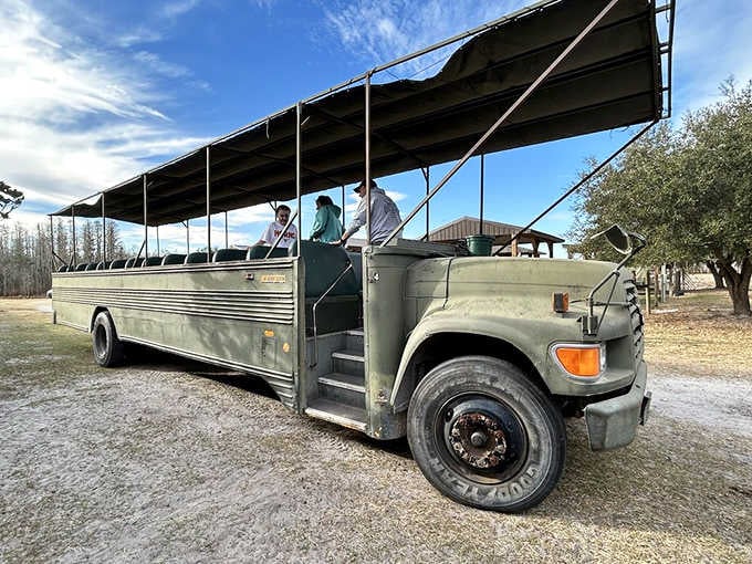 Your chariot awaits, complete with shade cover and the promise of encounters that'll make your friends wildly jealous.