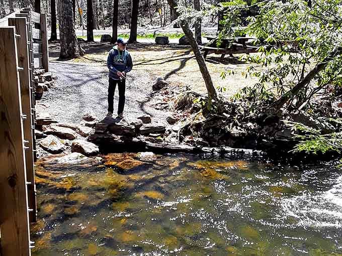 Anglers find their zen here, where patience meets crystal-clear water and hungry trout await below.