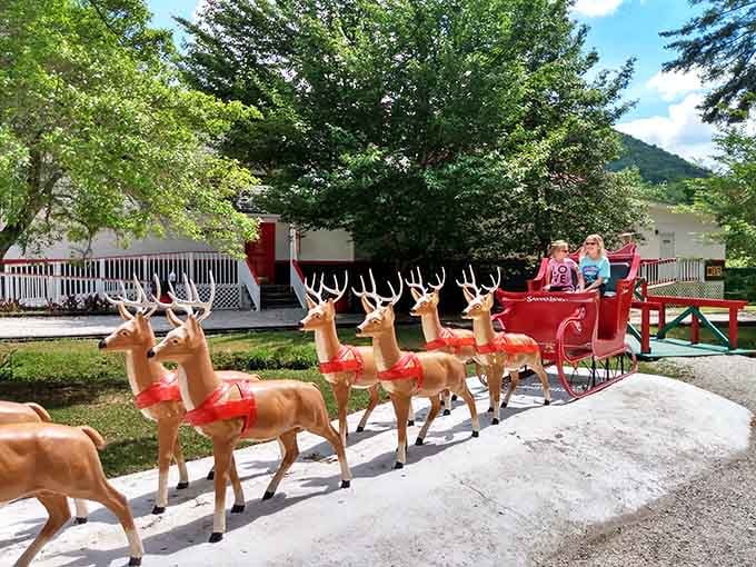 Santa's sleigh photo op at Santa's Land lets families create Christmas card moments in July's heat.
