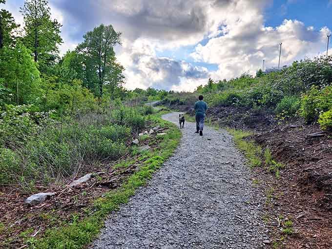 The gravel path to the tower is so gentle, you'll wonder if you accidentally took the VIP entrance.