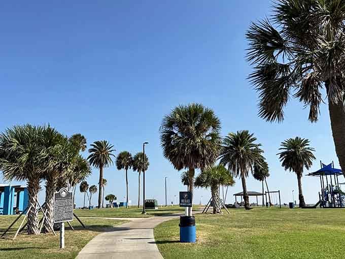 Palm-lined pathways and open lawns make this park perfect for picnics between your warship explorations.