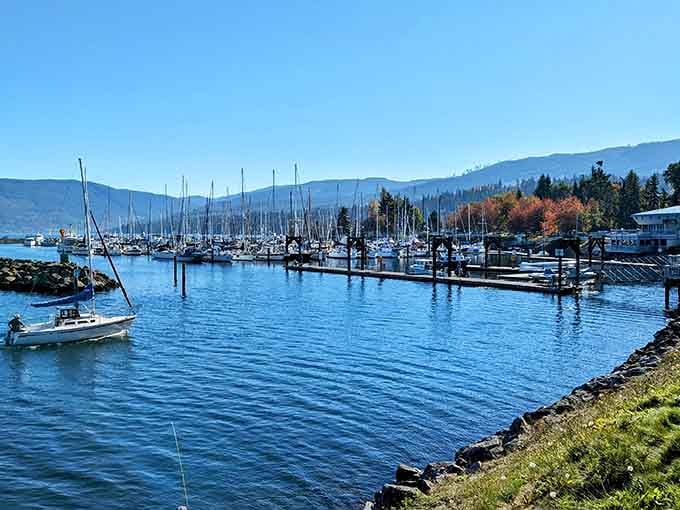 John Wayne Marina channels Hollywood glamour into this unassuming harbor where boats outnumber egos.