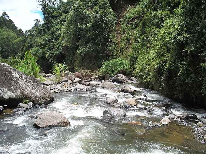 Mountain streams rush through the wilderness, providing soundtrack and scenery in equal measure.
