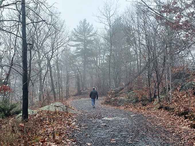 Misty mornings add mystery to the trail, transforming an ordinary hike into something resembling a Sherlock Holmes adventure.