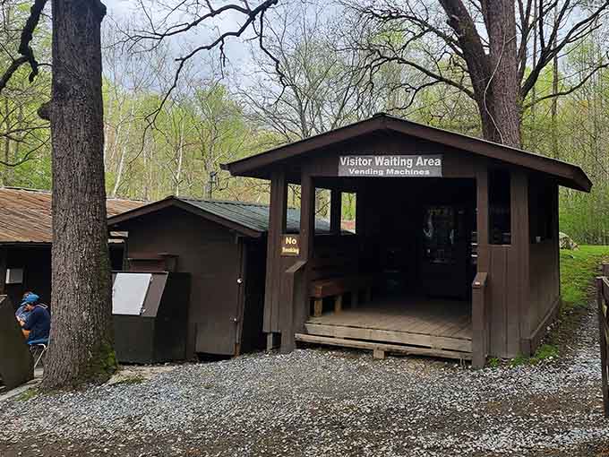 This rustic shelter is where anticipation builds and helmets get adjusted before the real fun starts happening.
