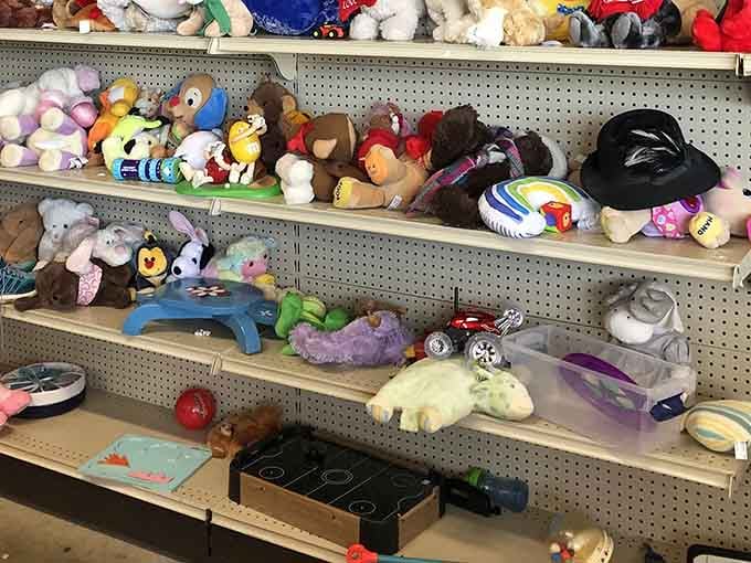 Stuffed animals and toys crowd the shelves, waiting to become some kid's new best friend or your grandchild's birthday surprise.