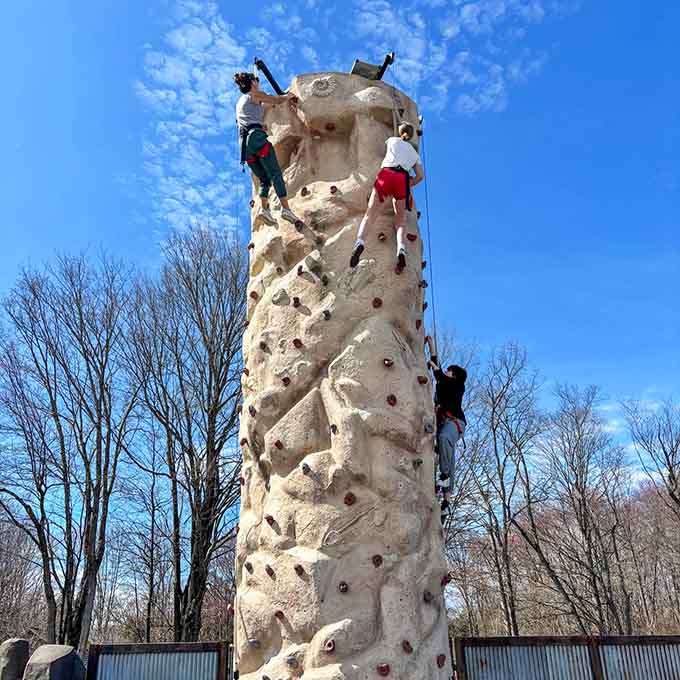 That climbing wall separates the brave from the "I'll just watch from down here with my coffee, thanks" crowd beautifully.
