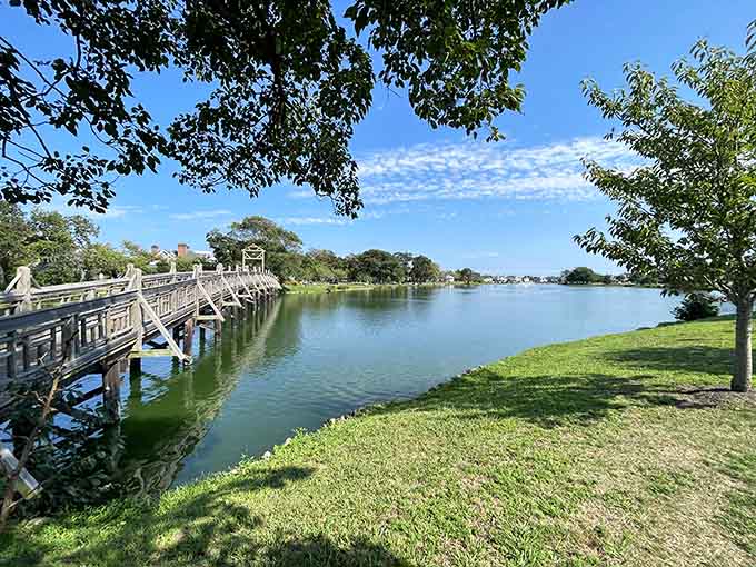 Divine Park's peaceful waters reflect the kind of calm we all desperately need in our lives right now.