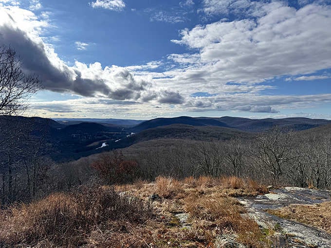 Every shade of green imaginable, like someone spilled nature's entire paint collection across the valley.