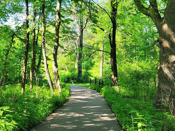 Tree-lined paths that make you forget you're in Illinois and not some fancy nature documentary.