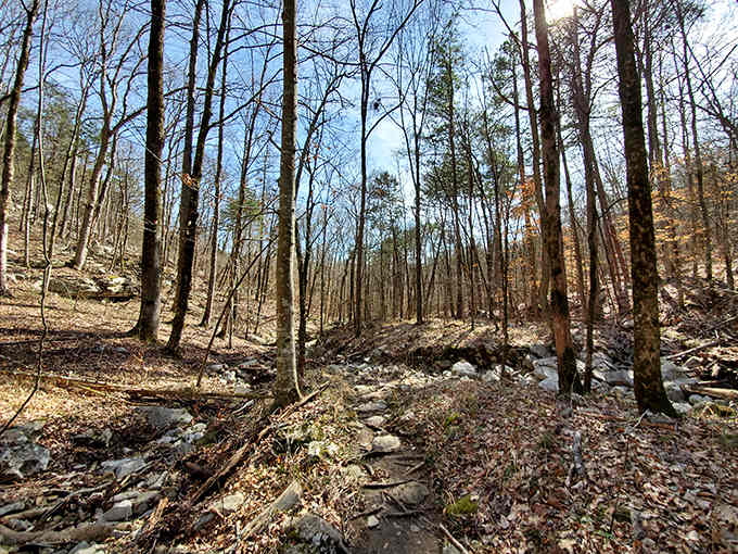 The forest trail leading to the cave looks innocent enough, giving you no hint of the otherworldly experience waiting ahead.