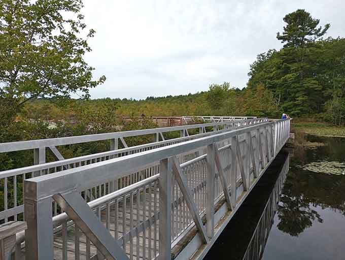Modern engineering meets ancient wetlands, proving accessibility and nature conservation make excellent neighbors after all.