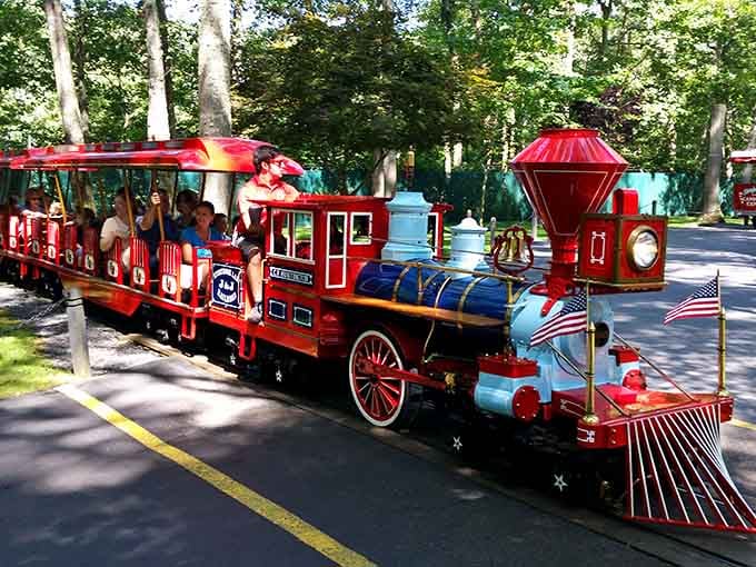All aboard the charm express, where the journey matters more than the destination and everyone gets a window seat.