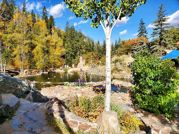 Multiple pools mean you can find your perfect temperature without negotiating with strangers about the thermostat settings.
