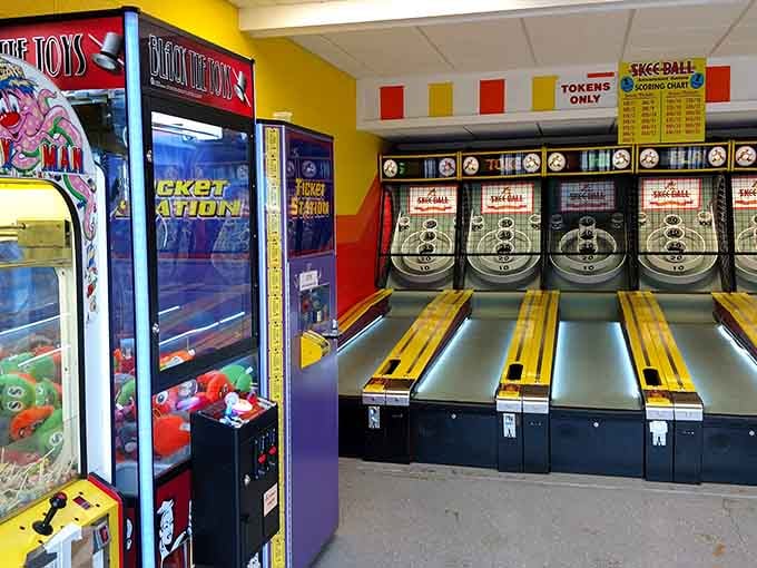 Classic arcade games and skee-ball lanes await inside, because sometimes winning stuffed animals requires different skills entirely.