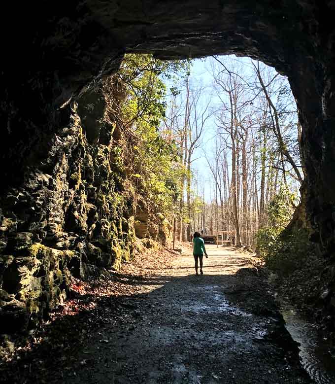 That brilliant green exit proves every tunnel has light at the end, even ones that lead absolutely nowhere.