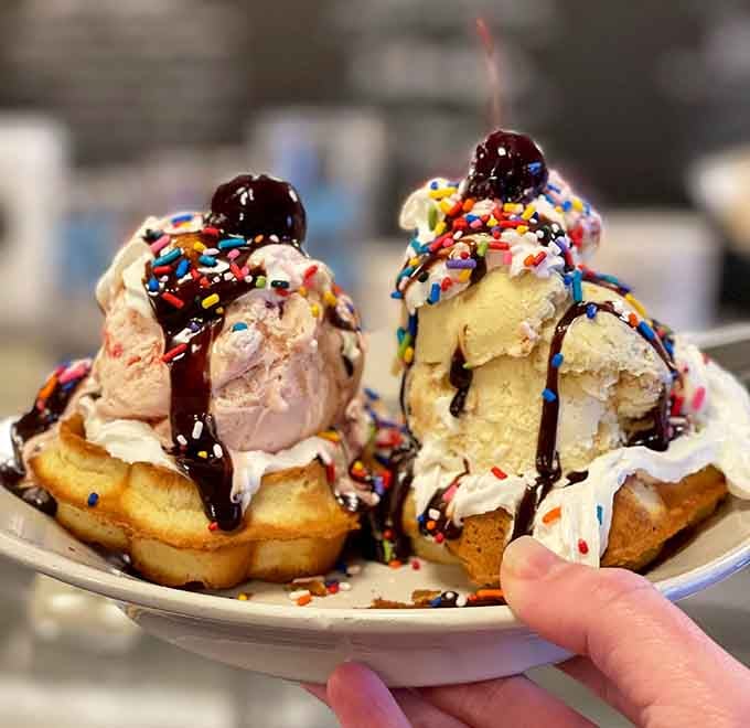 Belgian waffles meet ice cream in a riot of color, sprinkles, and pure unbridled joy.