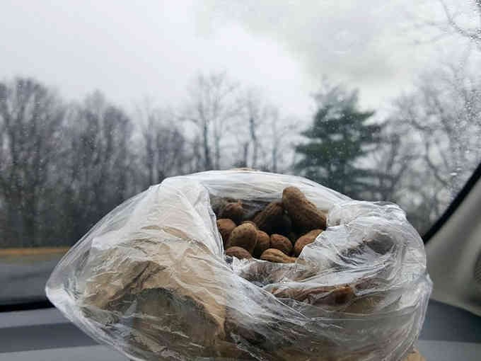 The perfect companion for foggy mountain drives and contemplating life's delicious mysteries ahead.