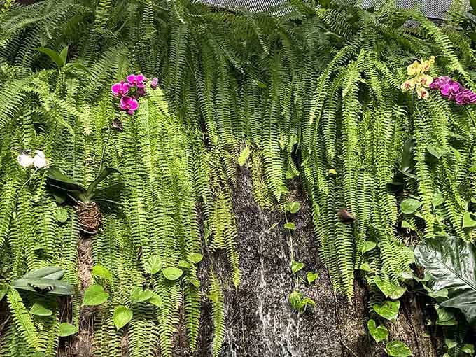 Cascading ferns create a living tapestry that would make any interior designer weep with envy.