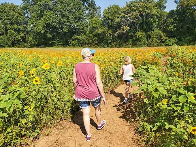Mother and daughter navigate the maze together, creating memories that'll outlast any souvenir you could buy in a shop.
