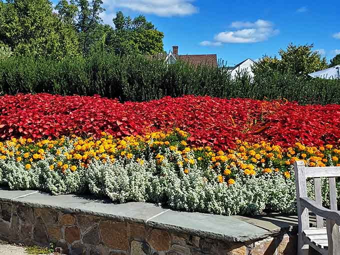 When your flower bed looks like it raided a paint store, you know someone's doing gardening absolutely right.