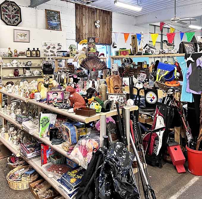 The organized chaos of collectibles and curiosities where finding that perfect random thing becomes your Friday mission.