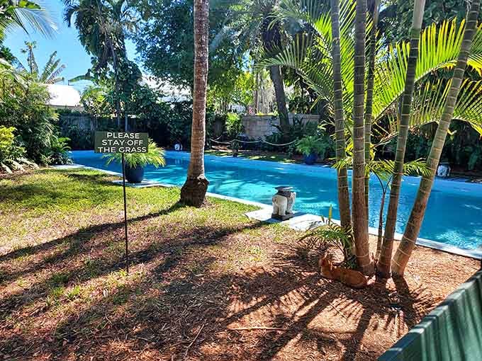 The famous pool that cost more than the house, now a turquoise jewel in the garden.