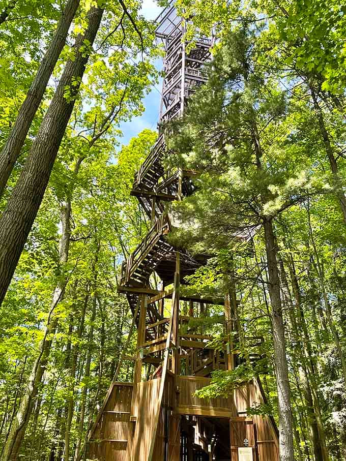 The Emergent Tower: because someone asked "what if we went higher?" and everyone said yes.