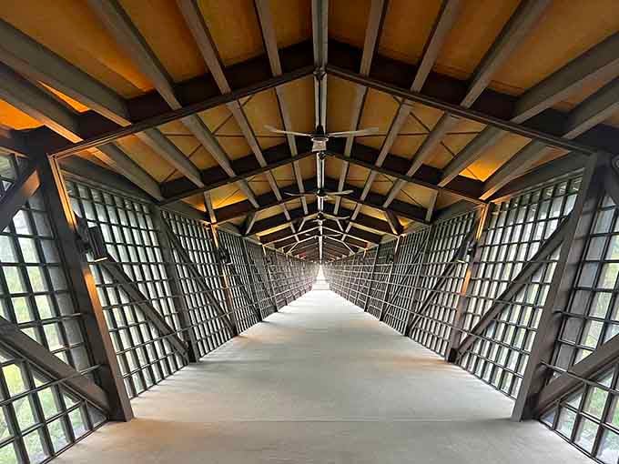 The Infinity Room stretches 218 feet over the valley, testing your fear of heights with over 3,000 windows.