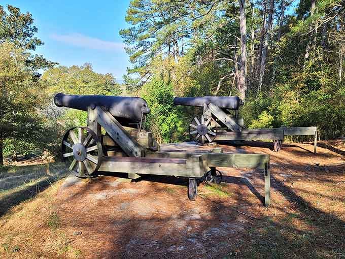 These Civil War era cannons remind you that Ridge Ferry Park has witnessed centuries of American history firsthand.