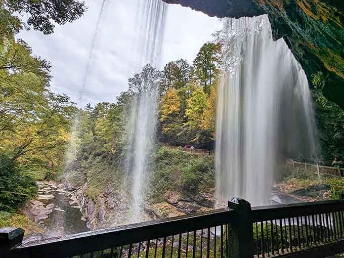 The viewing platform where "just one more photo" turns into your phone's storage crying for mercy.