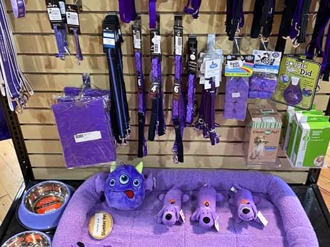 Even Fido deserves to coordinate with your wardrobe, and these plush toys make it delightfully possible.