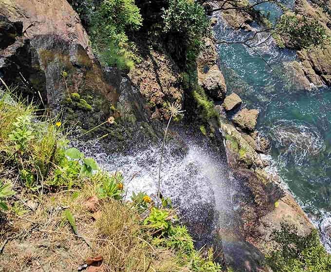 Looking down at where waterfall meets ocean is like watching two worlds collide beautifully together.