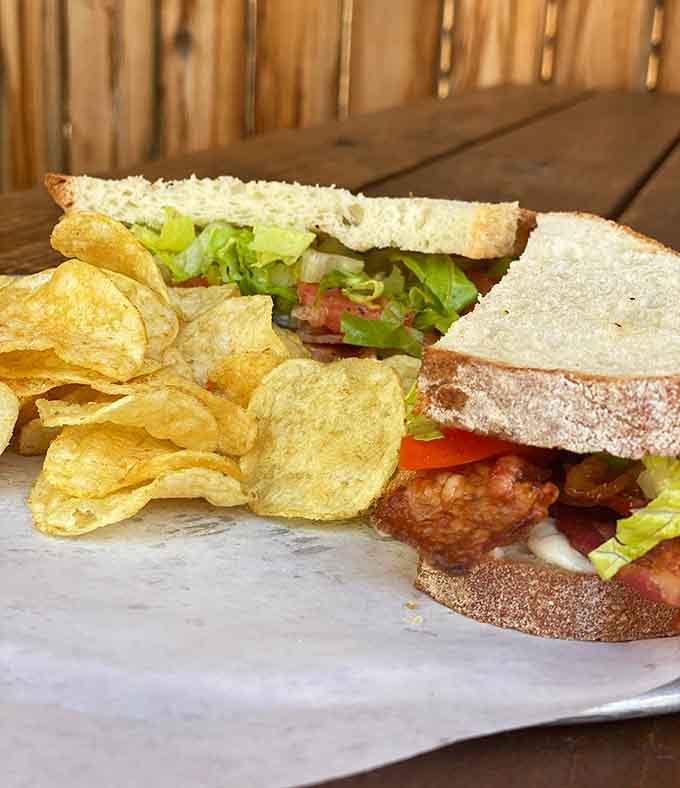This BLT situation with chips proves that sometimes the simple sandwiches are the ones that haunt your dreams forever.