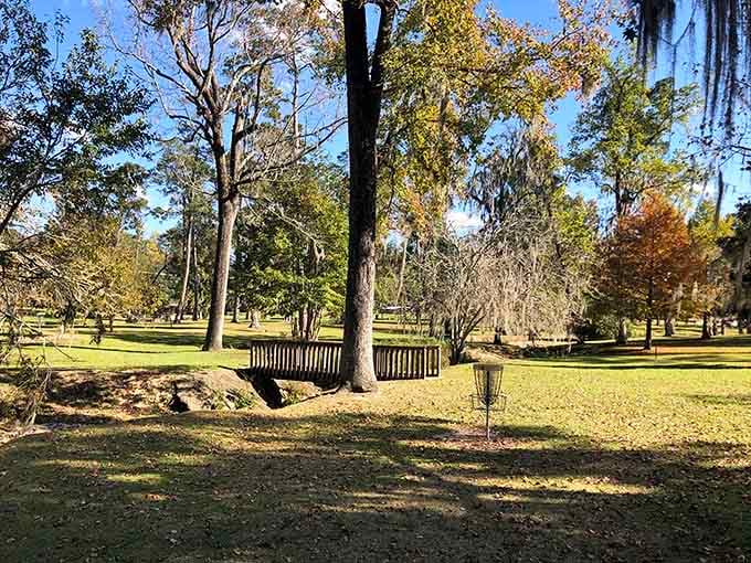 MacIntyre Park offers shaded benches and disc golf, because even small towns need recreational variety.