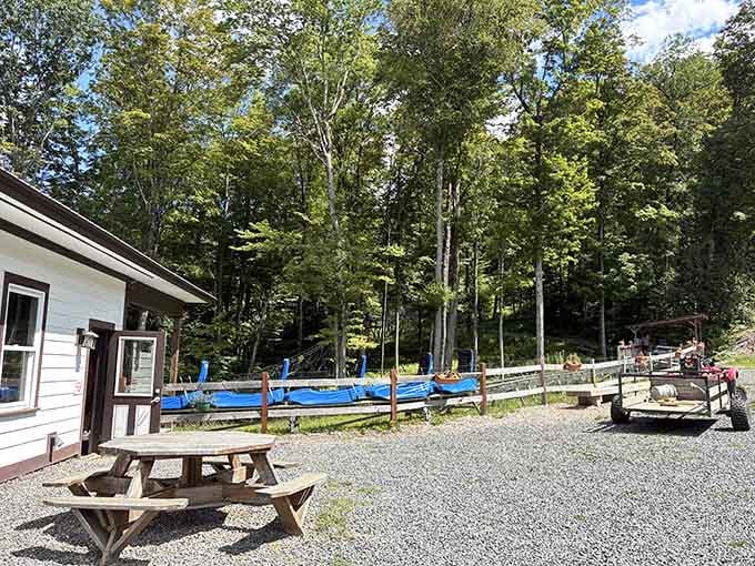 Picnic tables where you can recover your dignity after screaming like a teenager down the mountain.