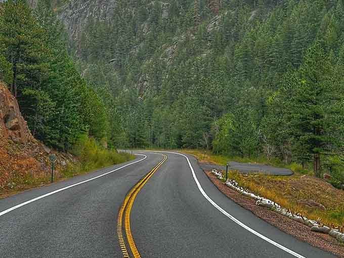 Forest-lined curves disappear into the distance, beckoning you forward like nature's own yellow brick road without the flying monkeys.