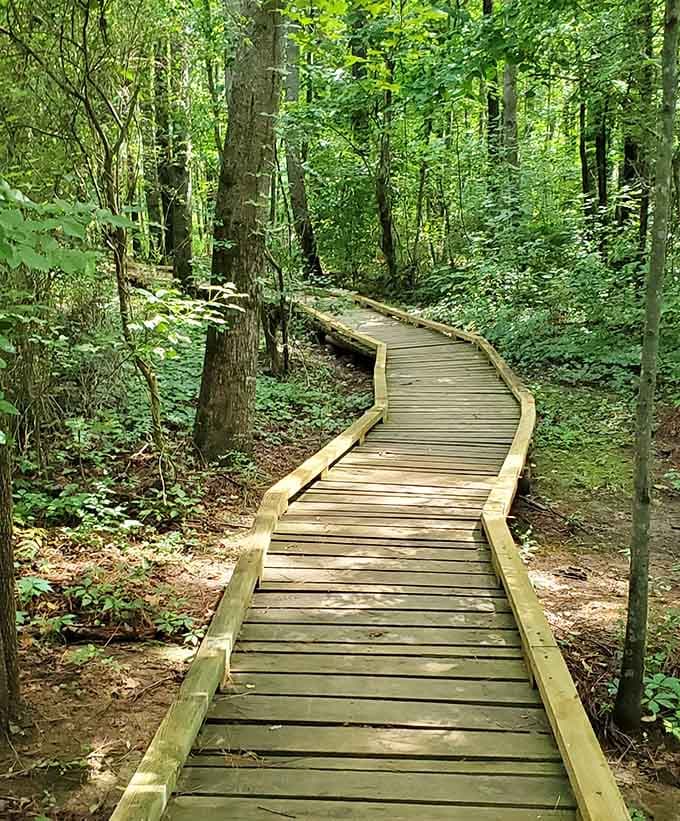Curved boardwalks through dense forest make you feel like you're walking through a storybook illustration.