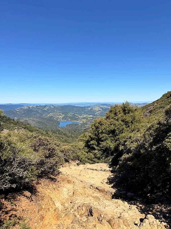 Rolling hills and distant waters spread out like California decided to show off a little.